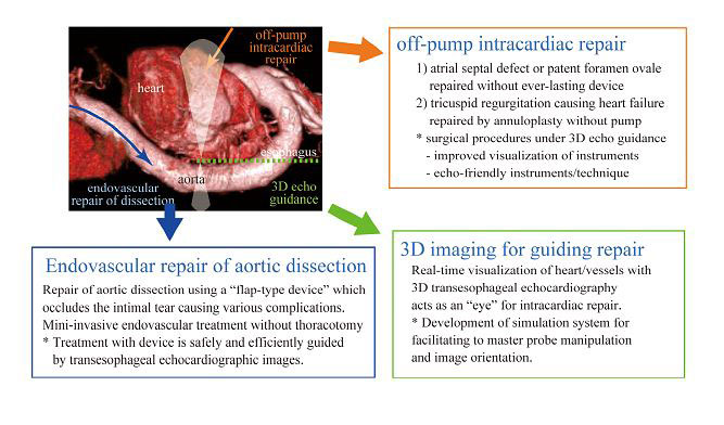 1989.9-1990.8 Research Associate at University of Manitoba, Department ...
